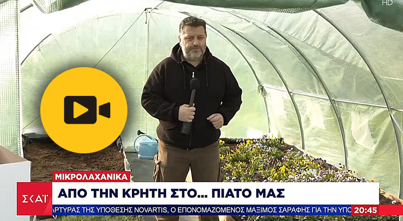 ΝΕΑ ΤΑΣΗ ΣΤΗΝ ΚΡΗΤΗ ΤΑ ΜΙΚΡΟΛΑΧΑΝΙΚΑ – Μάριος Διονέλλης | Πίσω Σελίδες