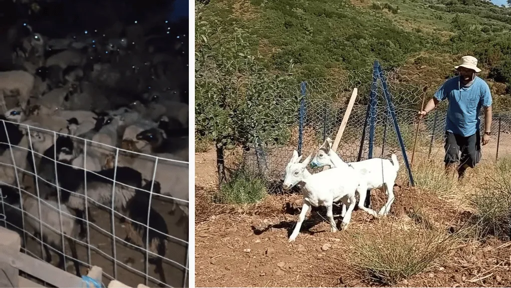Μάριος Διονέλλης | Πίσω Σελίδες – Μάριος Διονέλλης | Πίσω Σελίδες Logo